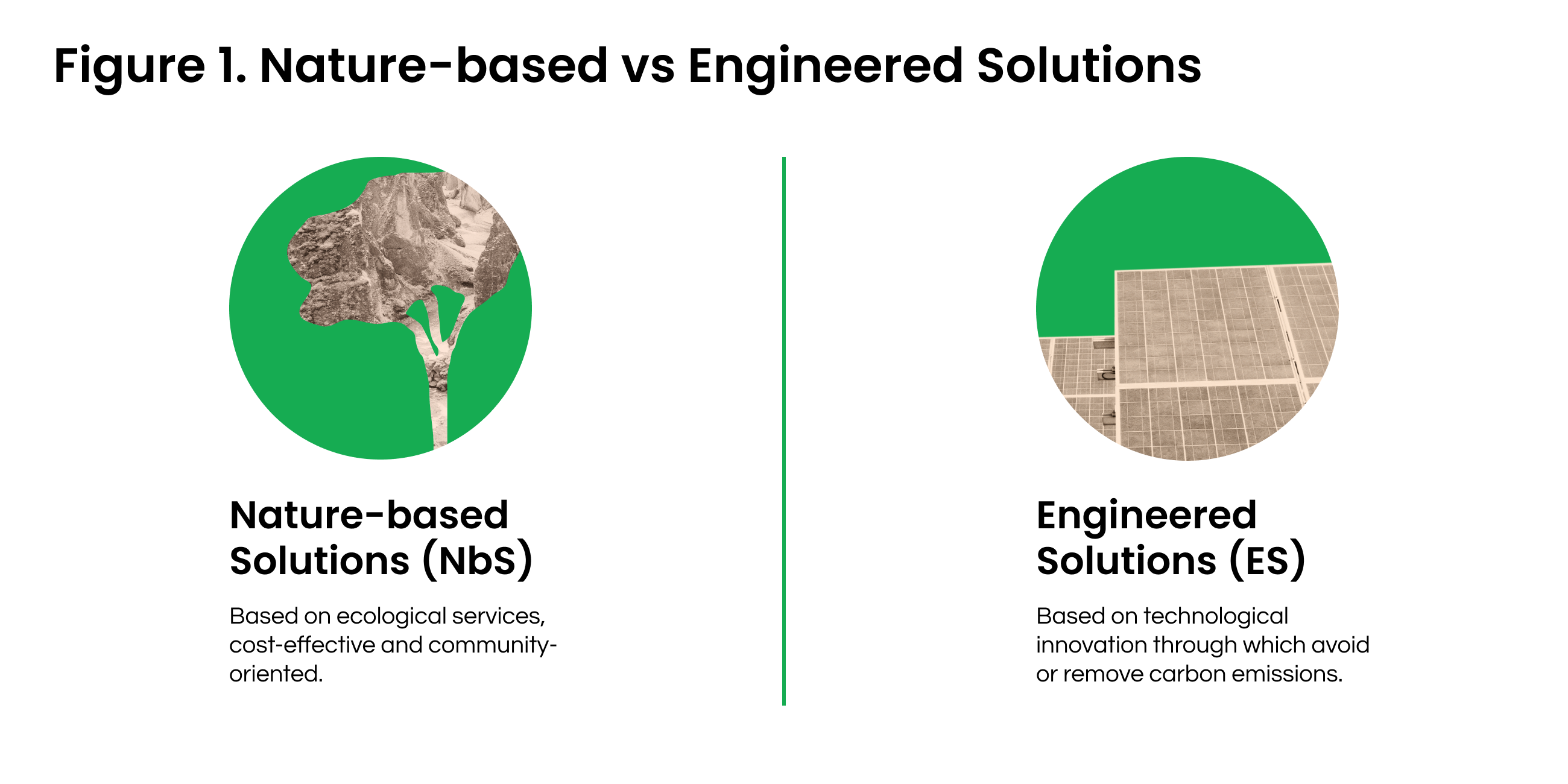 The Business Guide To Nature based Vs Engineered Solutions